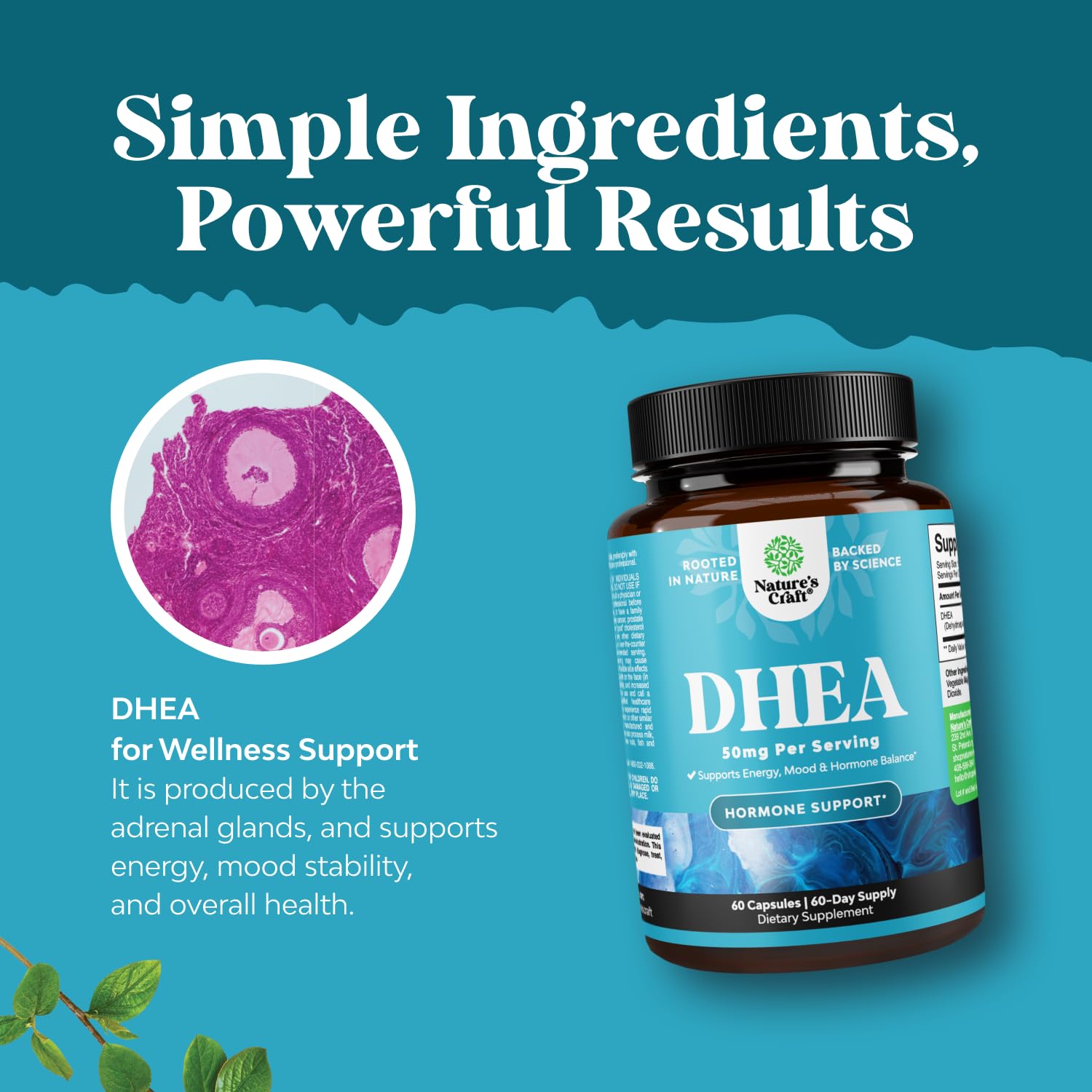 Men's multivitamin with DHEA support