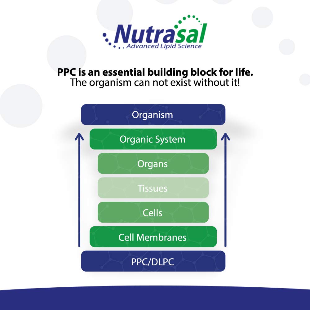 men's multivitamin with essential nutrients