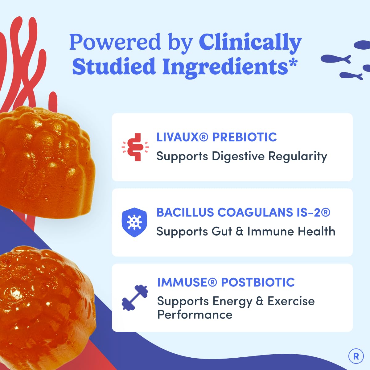 men's probiotics for daily wellness