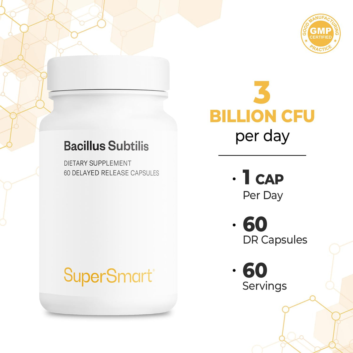 men's probiotics for gut balance