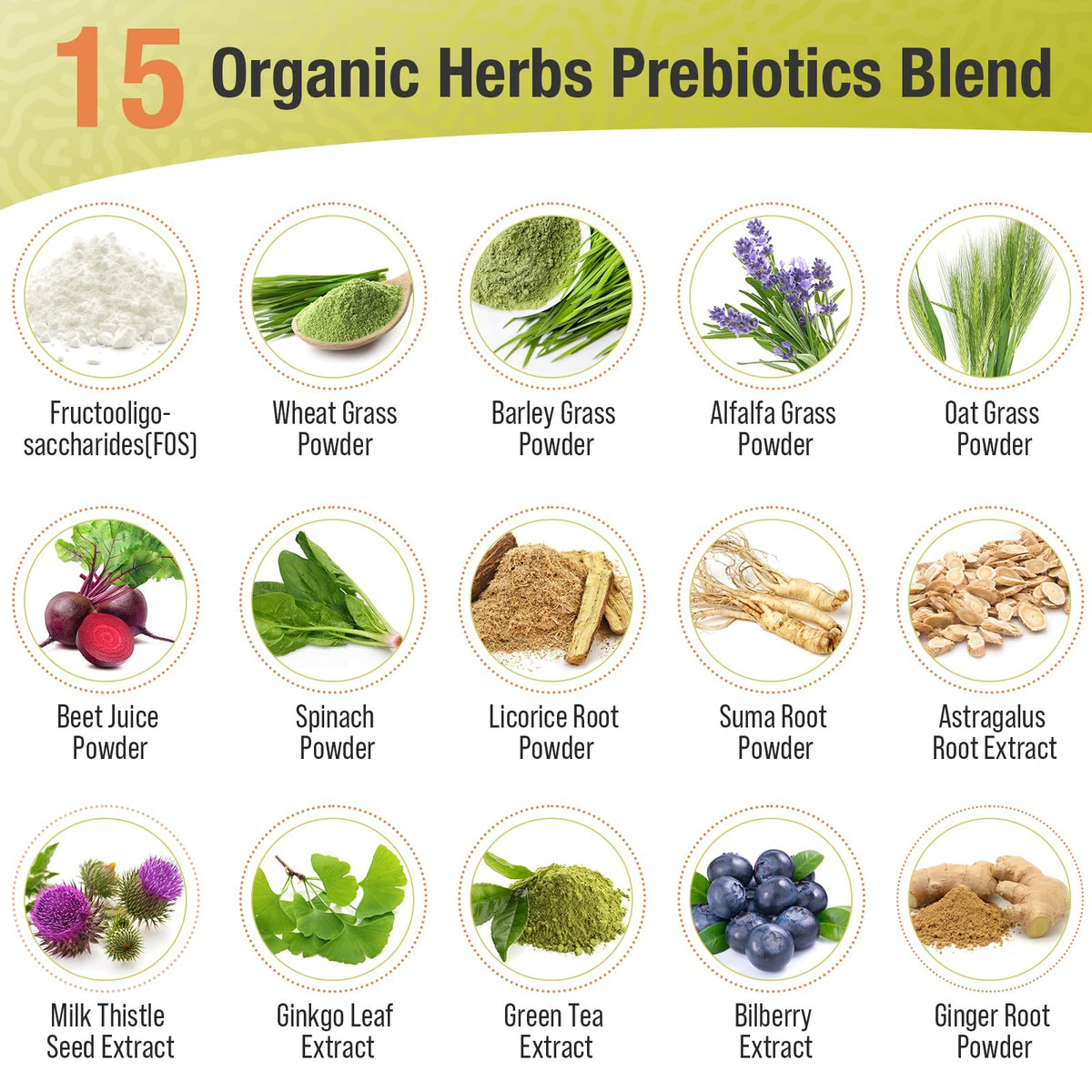 men's probiotics for gut balance