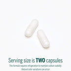 men's probiotics for gut balance