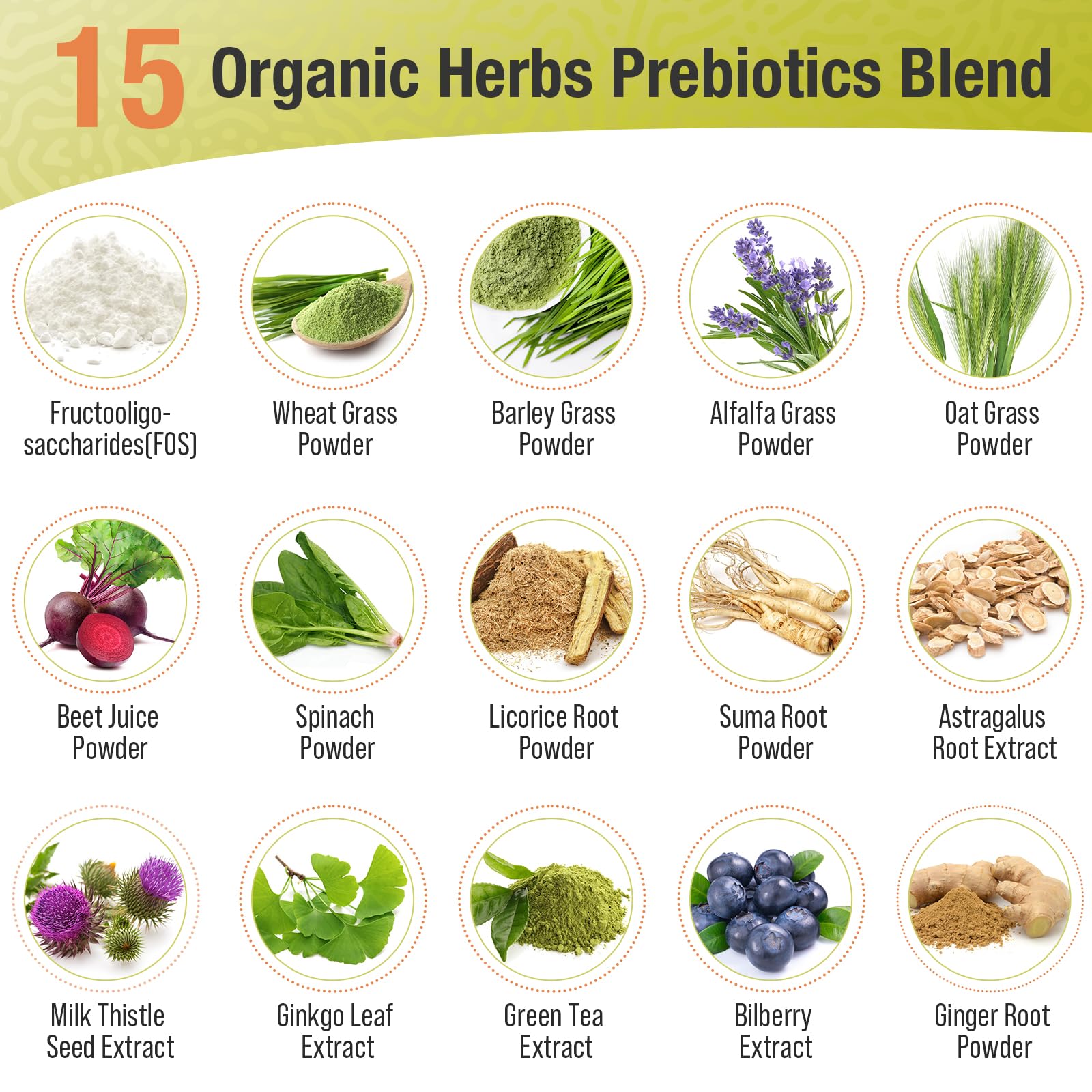 men's probiotics for gut balance