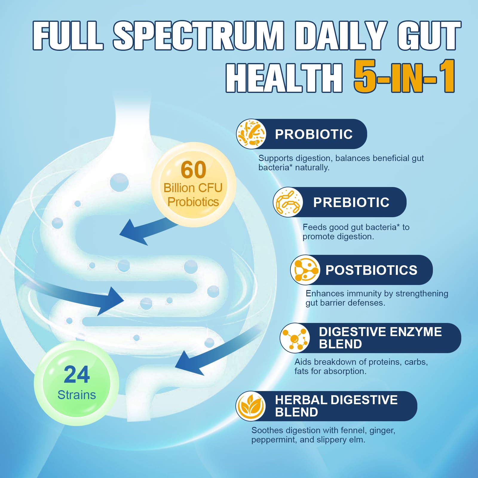 men's probiotics for immune support