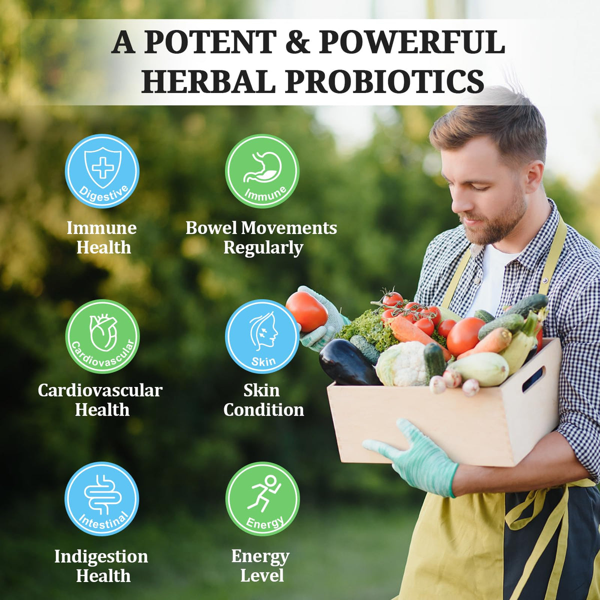men's probiotics for immune support