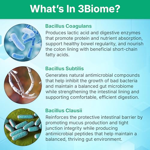 men's probiotics for optimal digestion