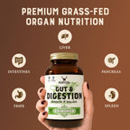 men's probiotics for optimal gut health