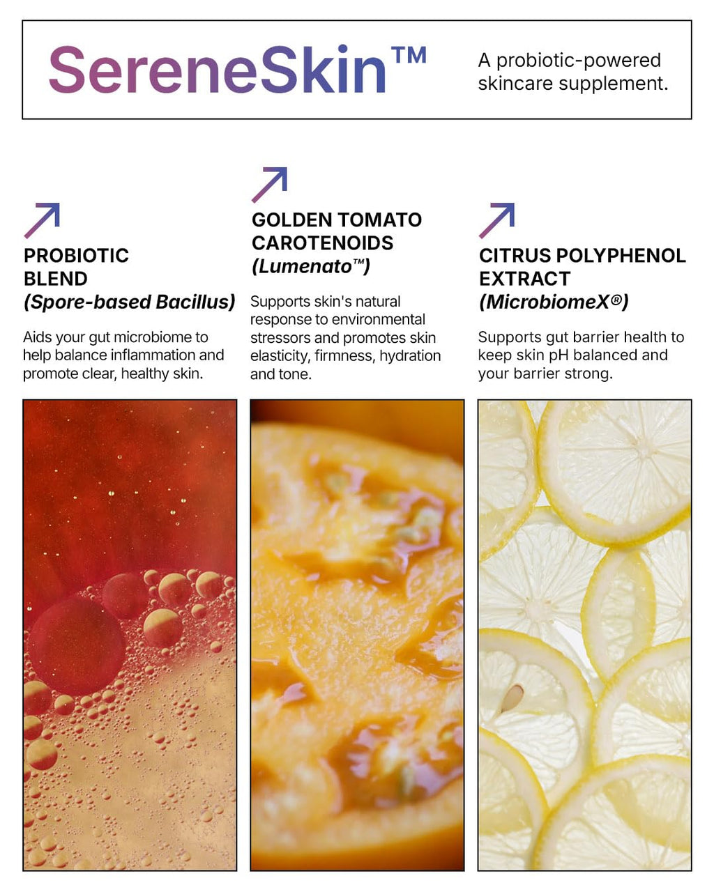 men's probiotics with 50 billion cfu