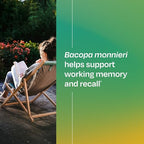 menopause supplement to boost energy