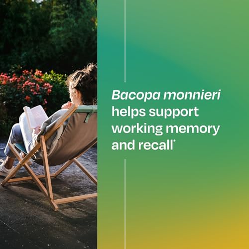 menopause supplement to boost energy