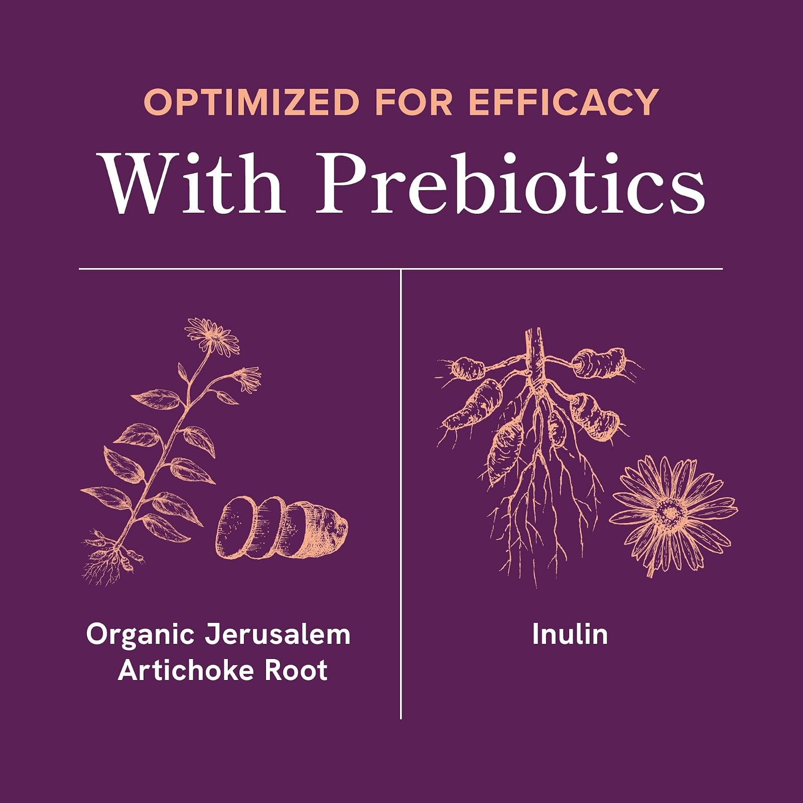 menopause support vitamins for wellness