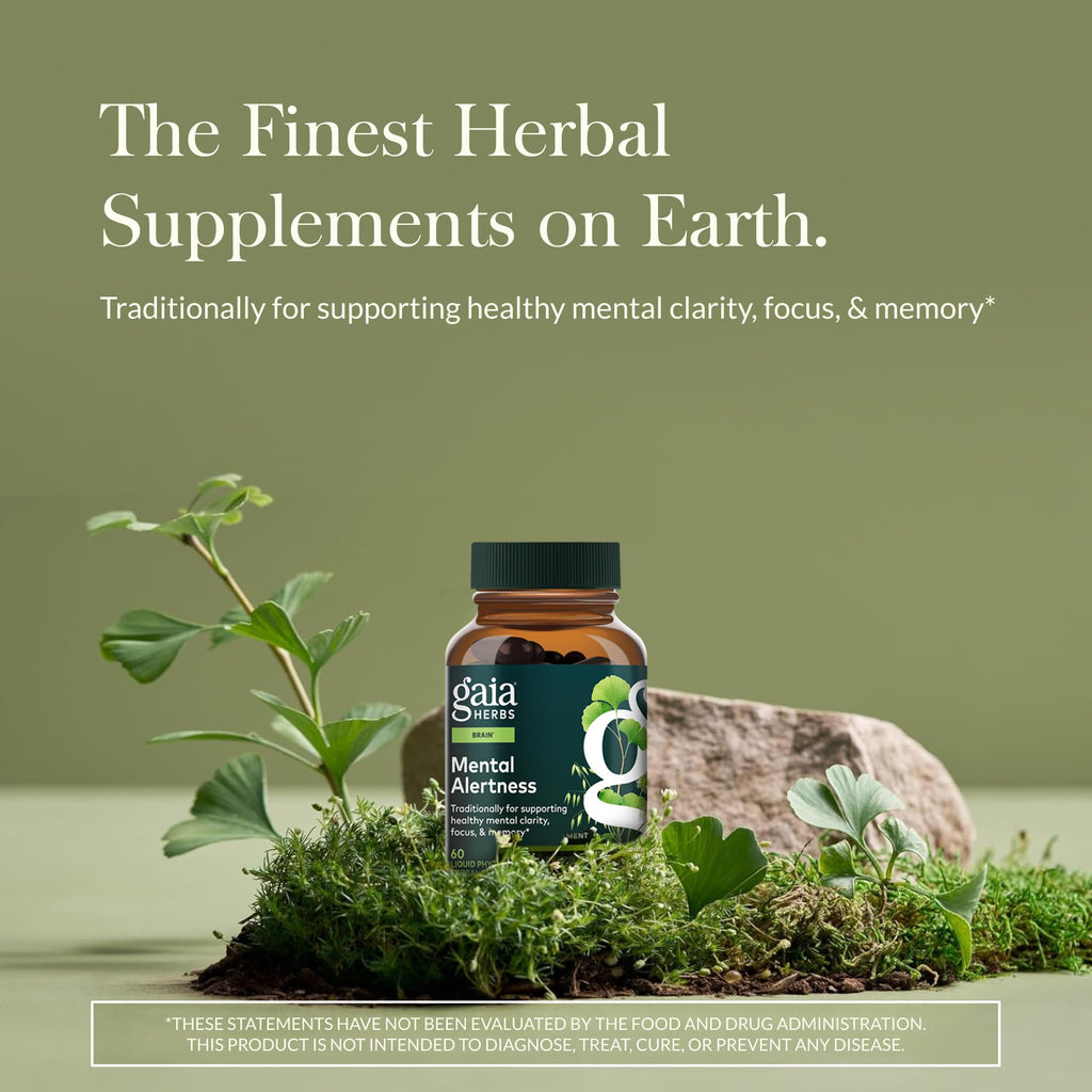 mental alertness with ginkgo biloba