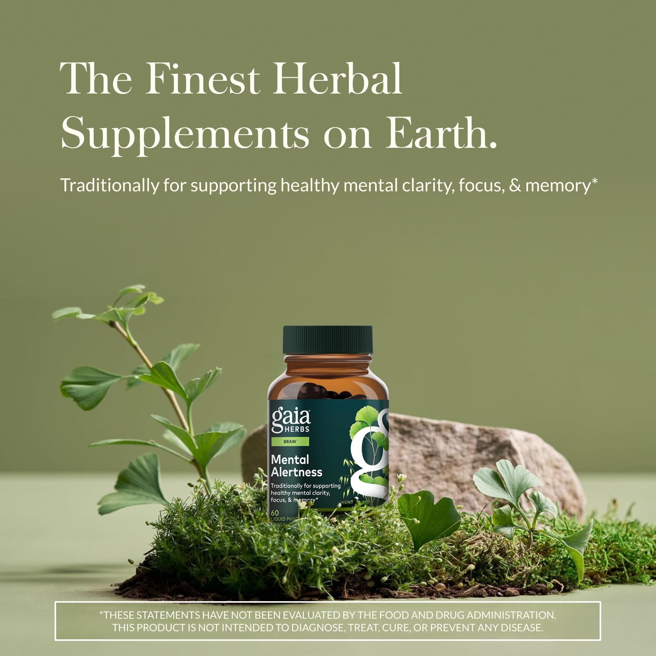 mental alertness with ginkgo biloba