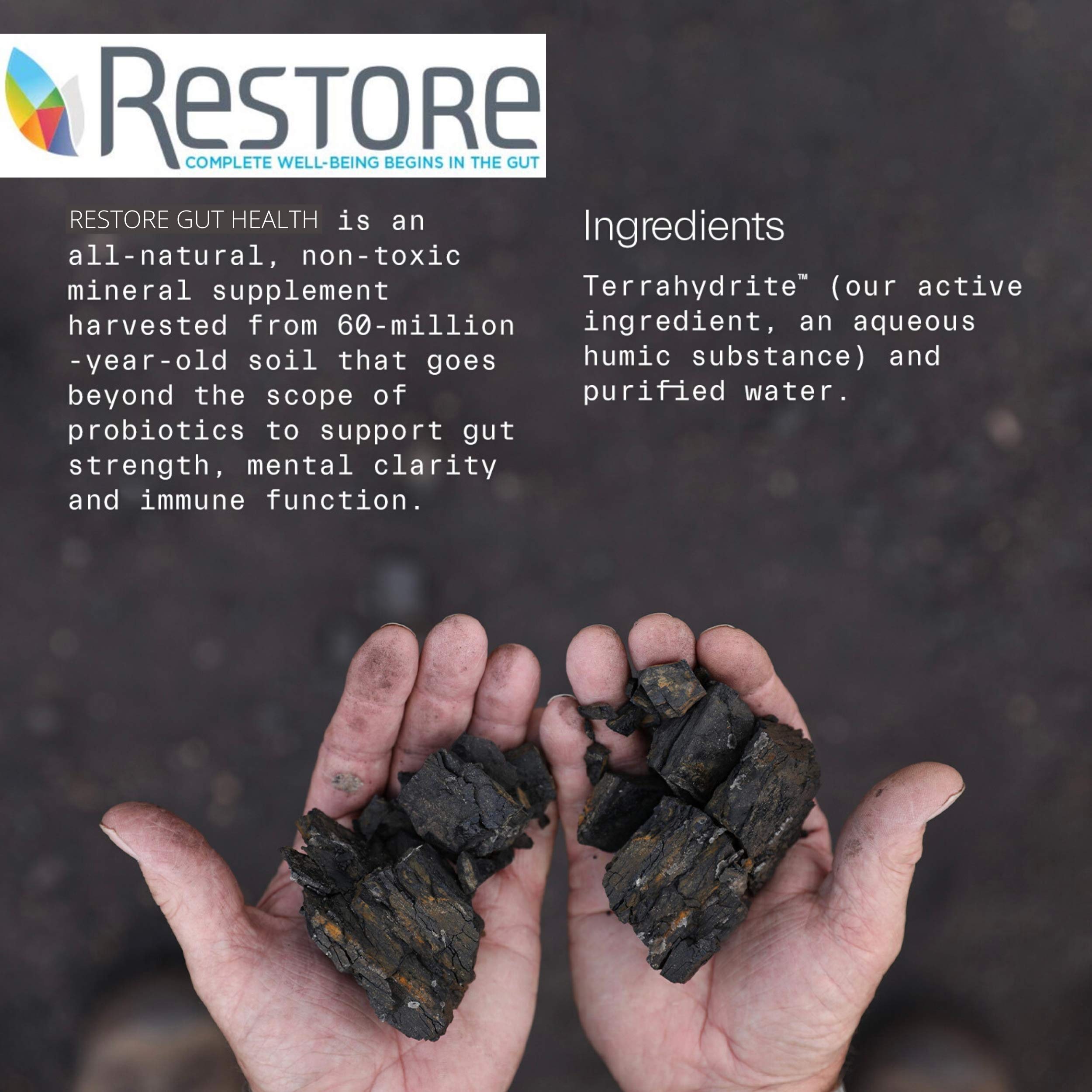mental clarity from Restore Magic Dirt