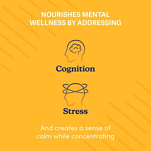 mental clarity vitamin supplements