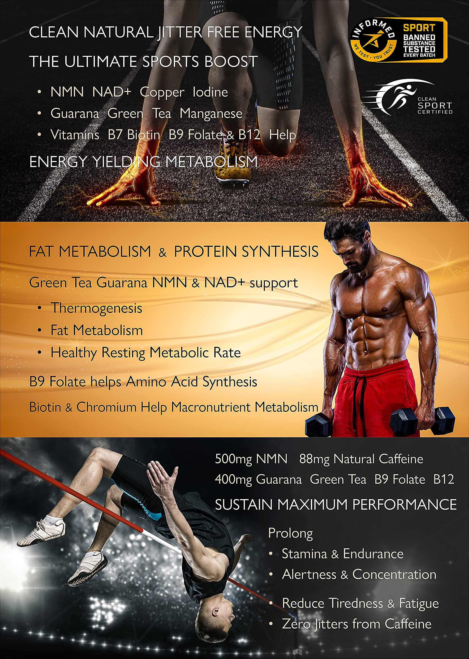 mental performance blended vitamin & mineral supplements