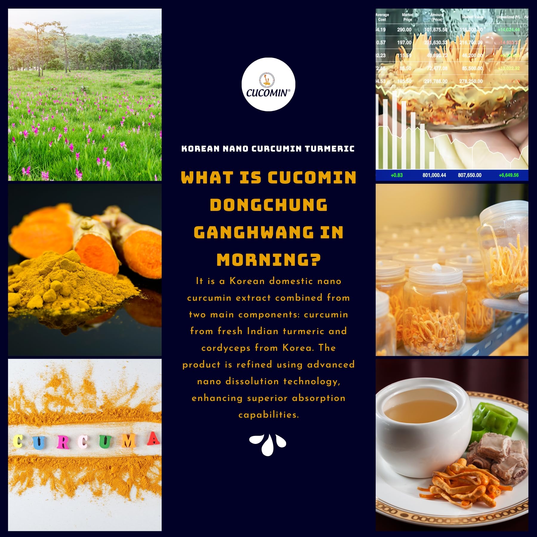 meriva curcumin for joint support