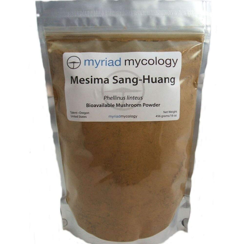 Mesima mushroom powder for cooking