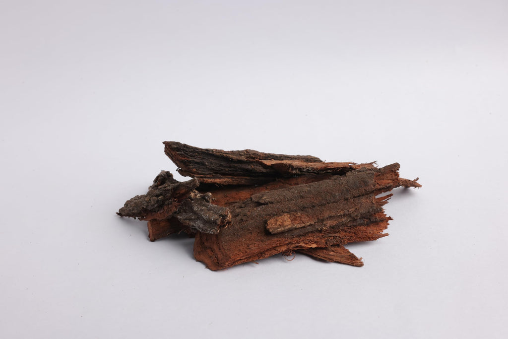 mesquite bark for natural healing