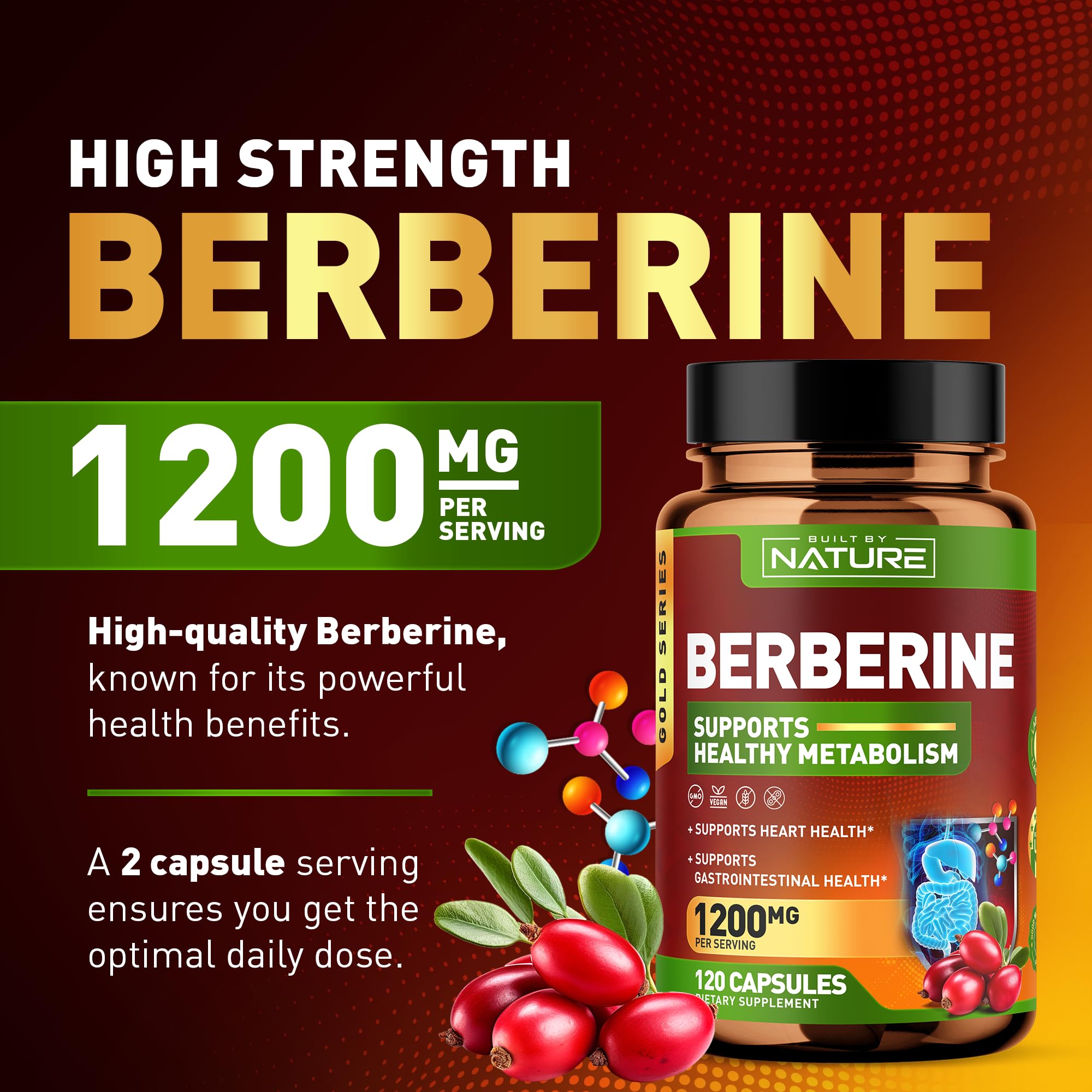 metabolic health with berberine