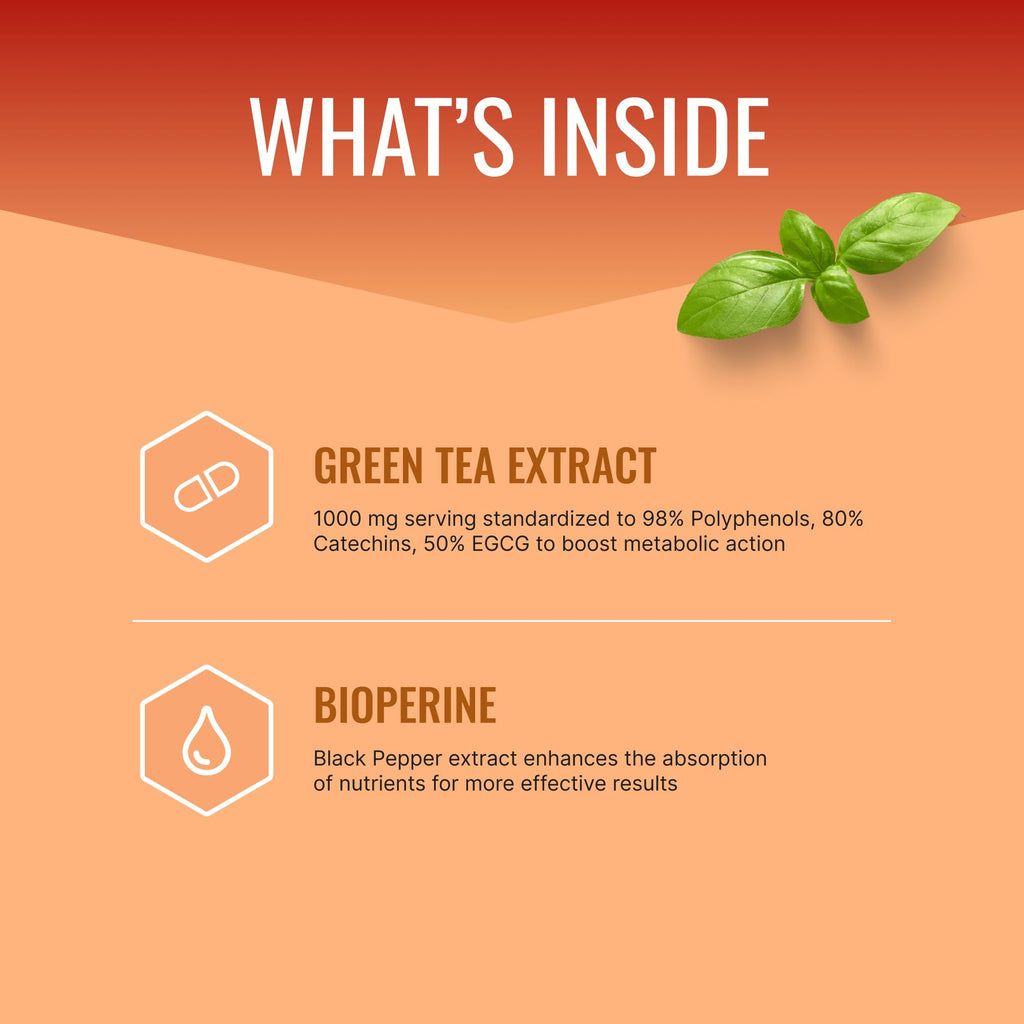 metabolic support with green tea