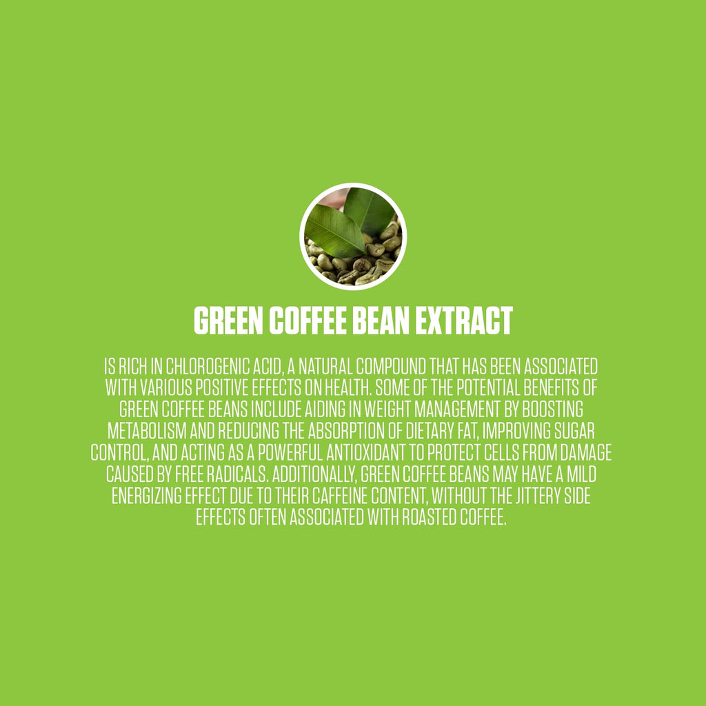 metabolism support green coffee extract