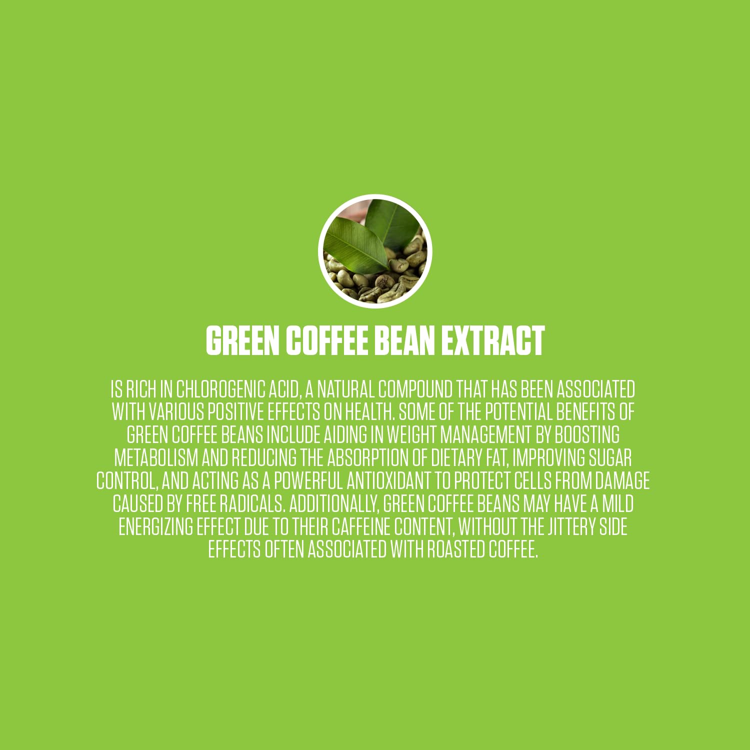metabolism support green coffee extract