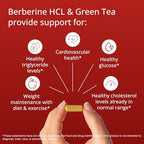 Metagenics berberine HCl for digestive wellness