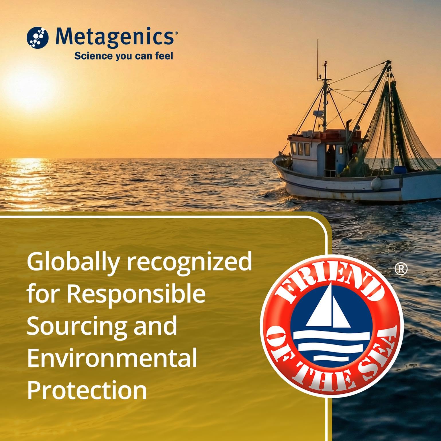 Metagenics fish oil for joint support