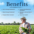methyl B12 for better absorption