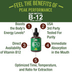 methyl b12 for energy support