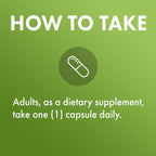 methyl folate for prenatal health