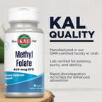 methyl folate supports brain function