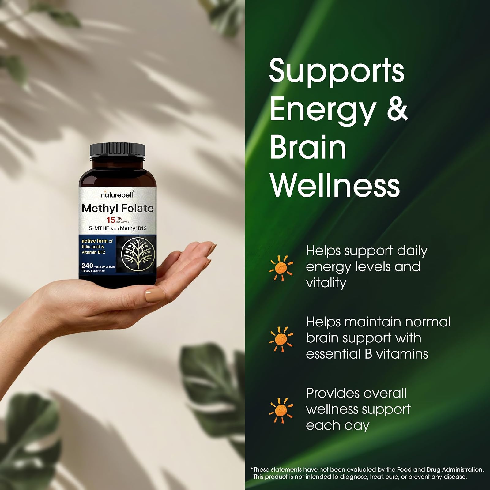 methyl folate supports brain function