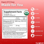 methyl vitamin b12 for vegan diets
