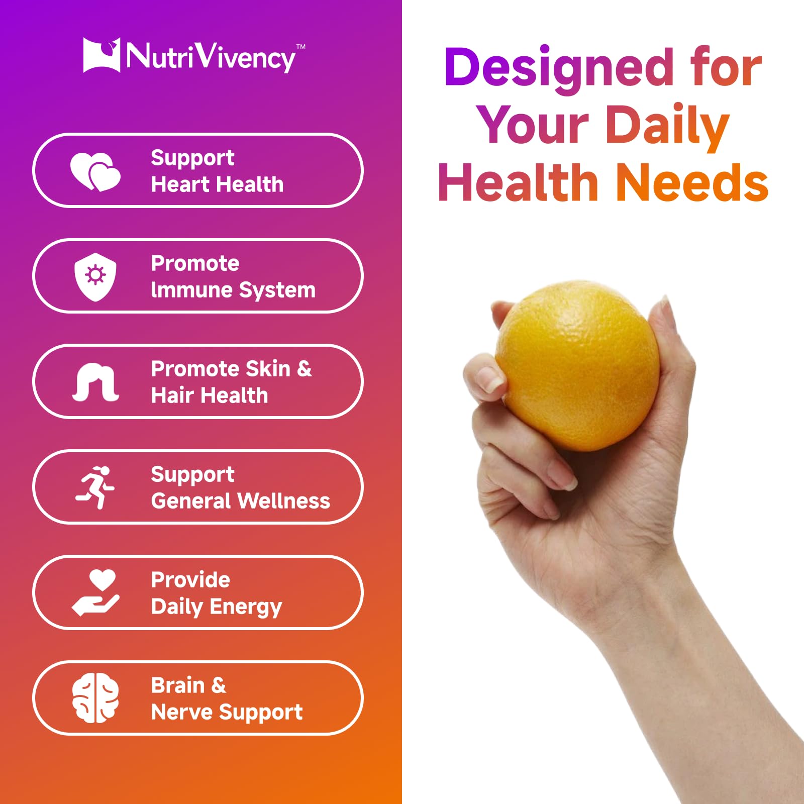 methylated b complex support for metabolism