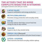 methylated multivitamin for men health