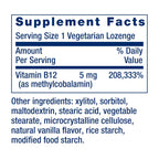methylcobalamin for energy support