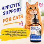 Methylcobalamin for feline health