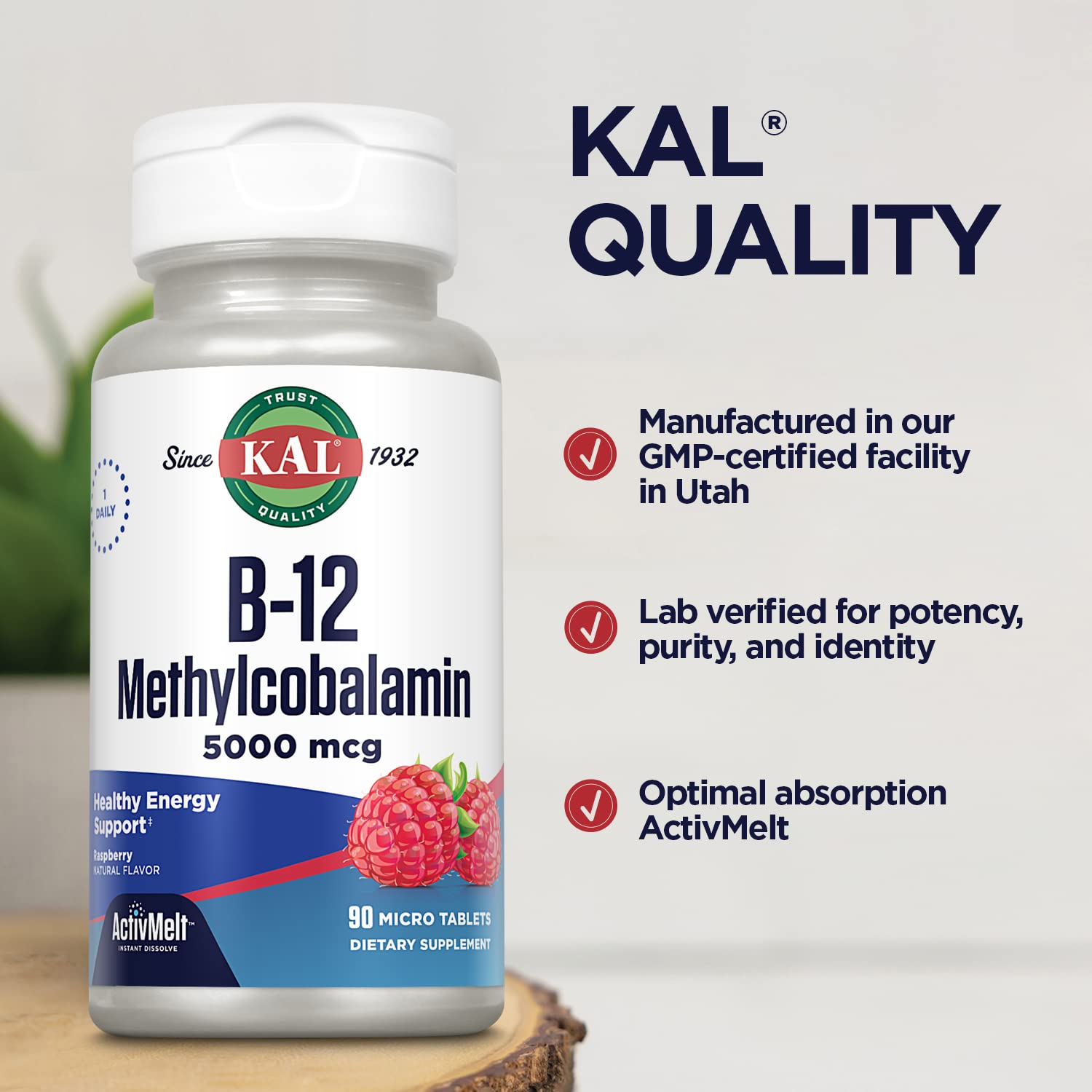 methylcobalamin vitamin B12 absorption
