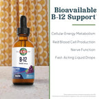 methylcobalamin vitamin B12 benefits