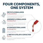 methylcobalamin vitamin b12 benefits