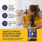 methylcobalamin vitamin B12 for dogs