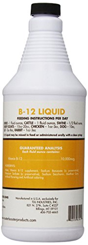 methylcobalamin vitamin B12 for energy