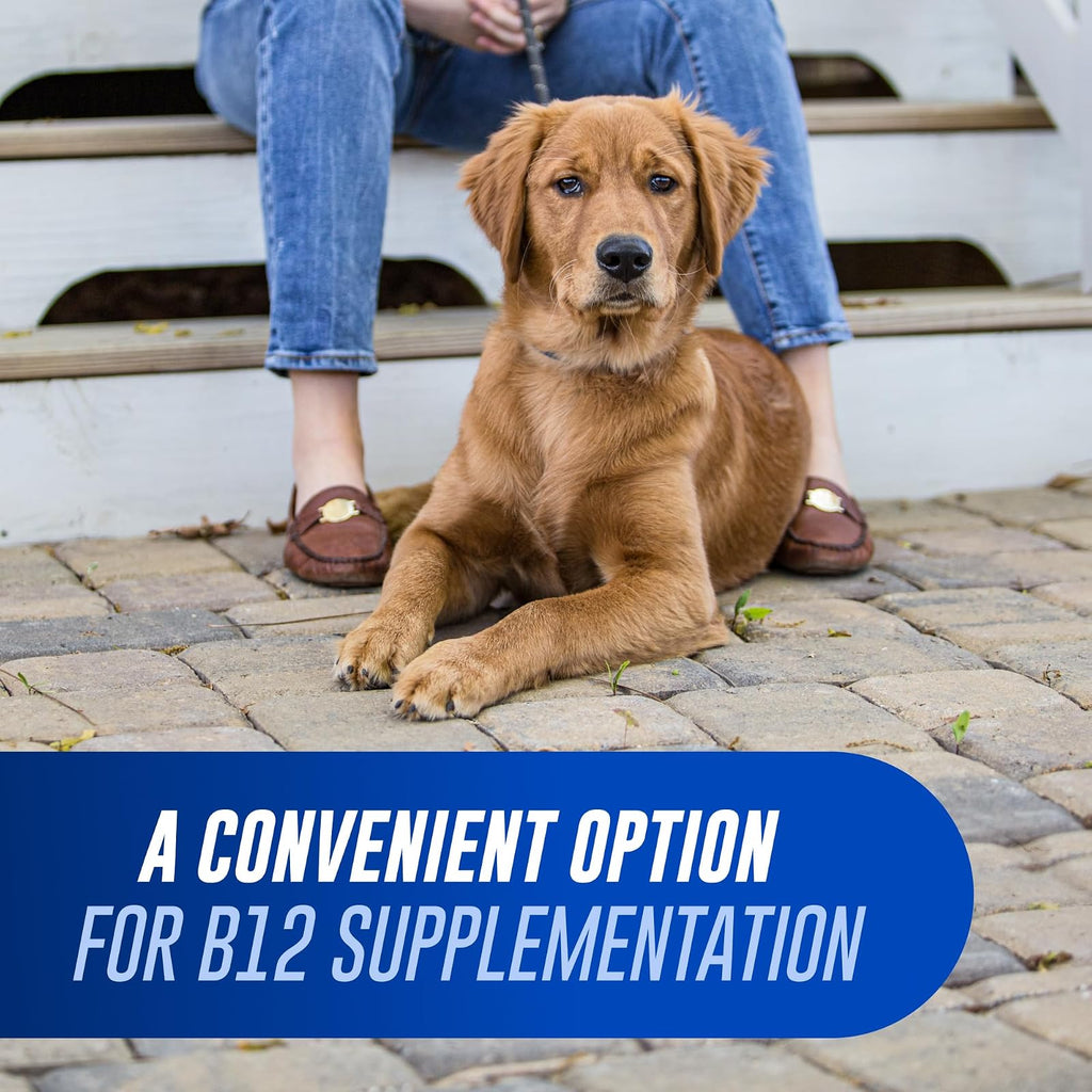 methylcobalamin vitamin B12 for pets