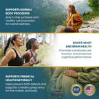 methylfolate for energy support