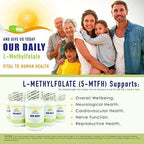 Methylfolate for healthy brain function