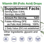 methylfolate for healthy pregnancy