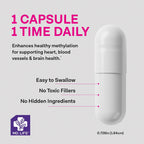 methylfolate for improved energy levels