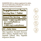 methylfolate supplement for energy